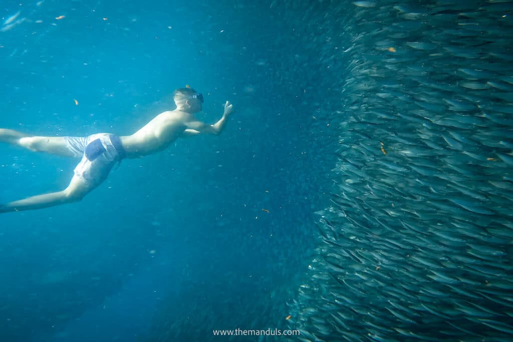 Snorkeling with Moalboal SARDINE RUN at PANAGSAMA beach