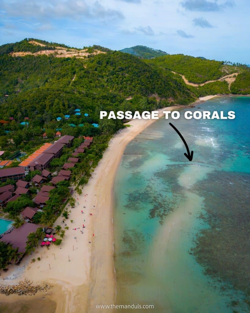 Mae Haad Beach Koh Phangan - the complete guide