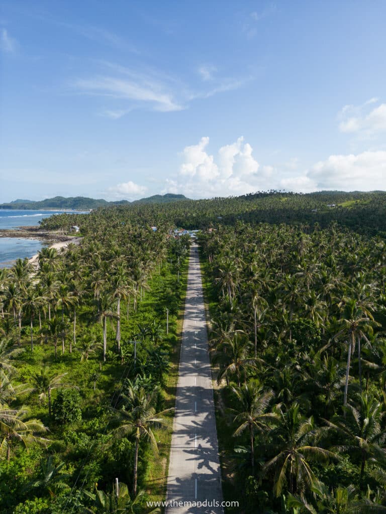 Coconut road Siargao - Complete Travel Guide
