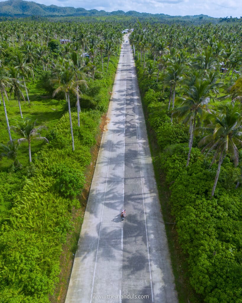 Coconut road Siargao - Complete Travel Guide