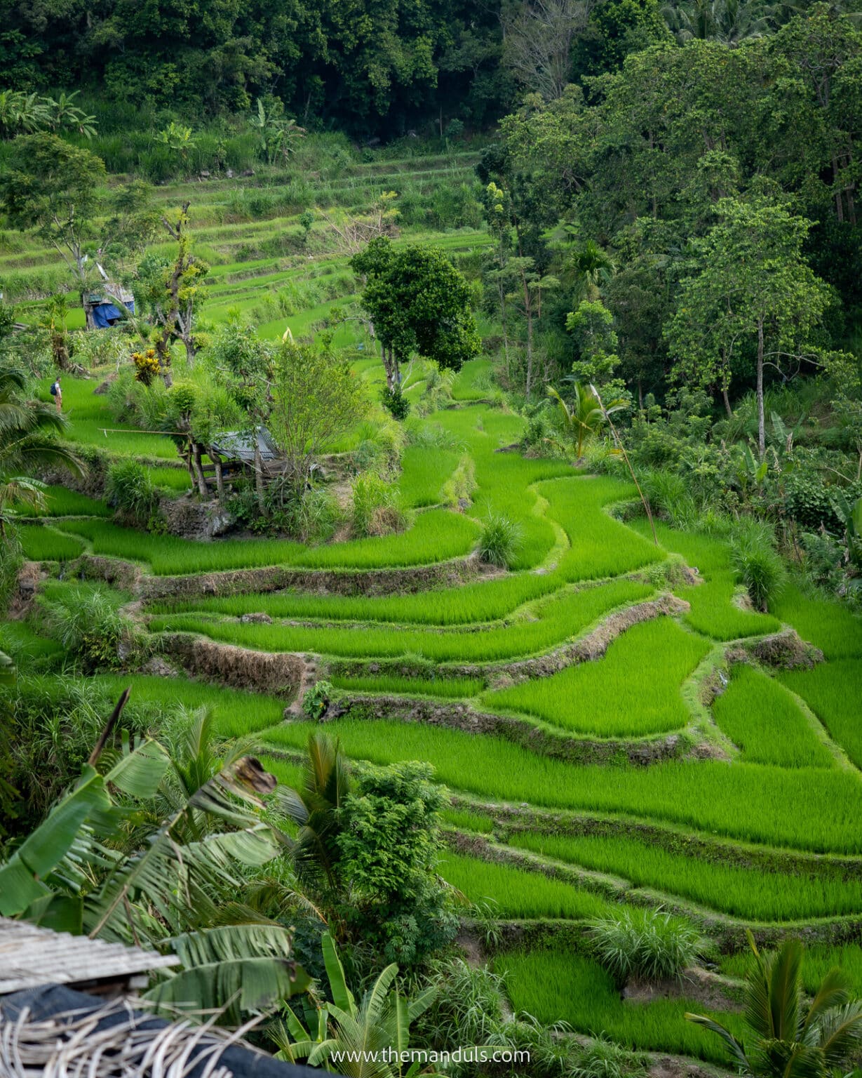 Sidemen rice terrace - hidden gem in East Bali