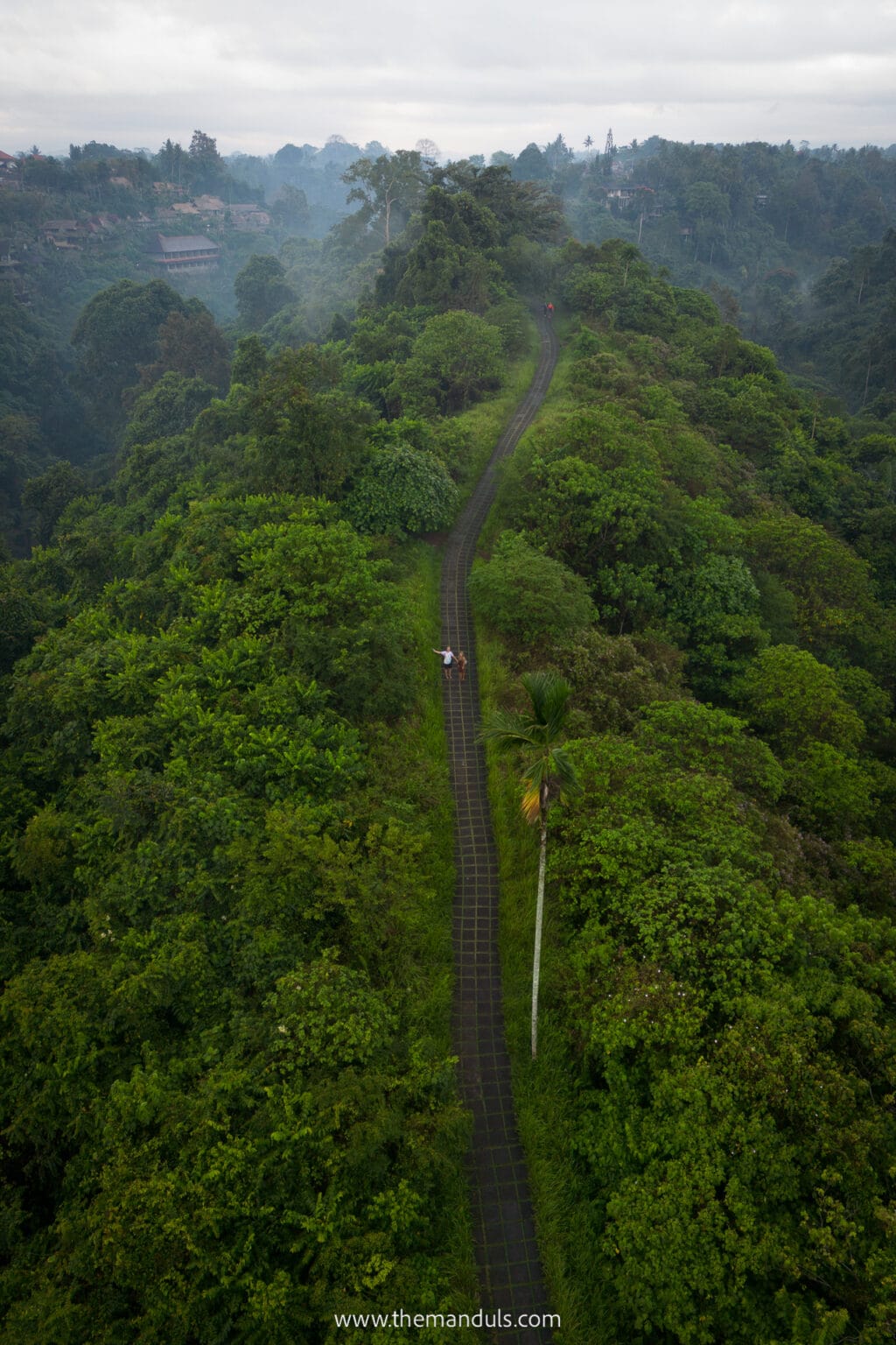 Campuhan Ridge Walk 2026: Ultimate Guide to Ubud’s Best Hike