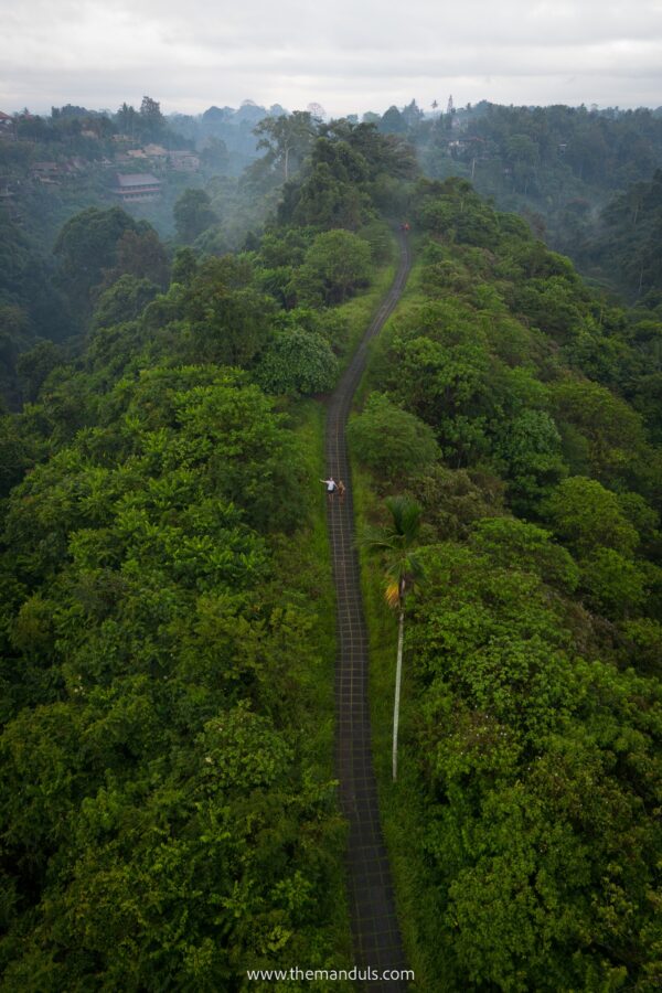 Campuhan Ridge Walk 2026: Ultimate Guide to Ubud’s Best Hike