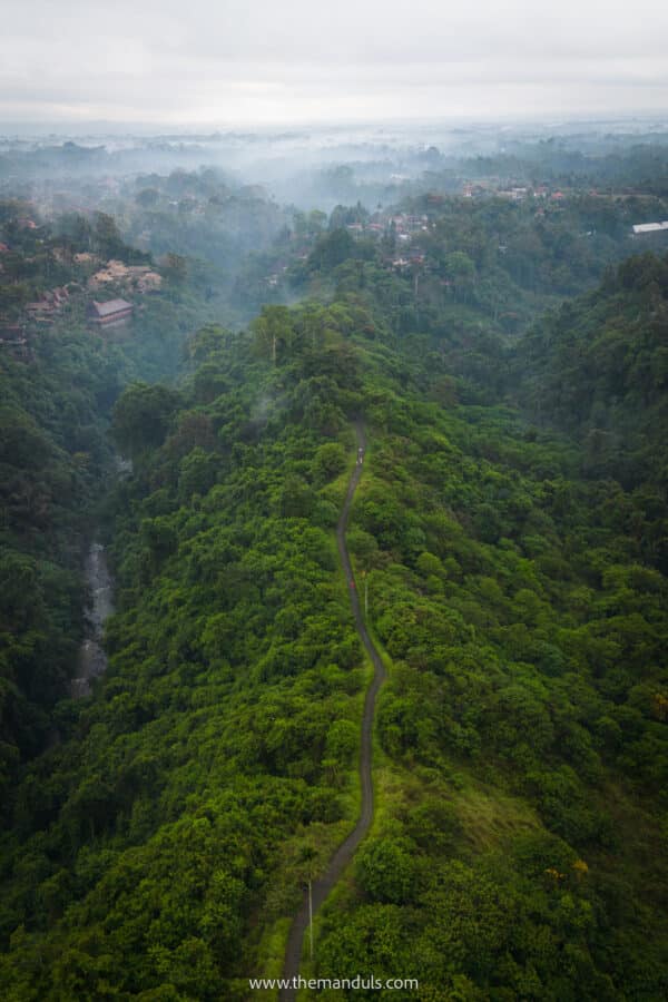 Campuhan Ridge Walk 2025: Ultimate Guide to Ubud’s Best Hike