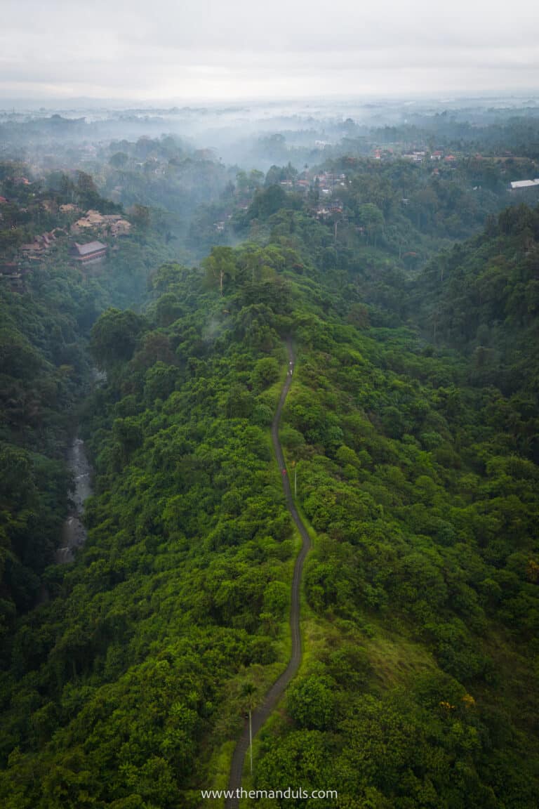 Campuhan Ridge Walk (2025): Ultimate Guide to Ubud’s Best Hike