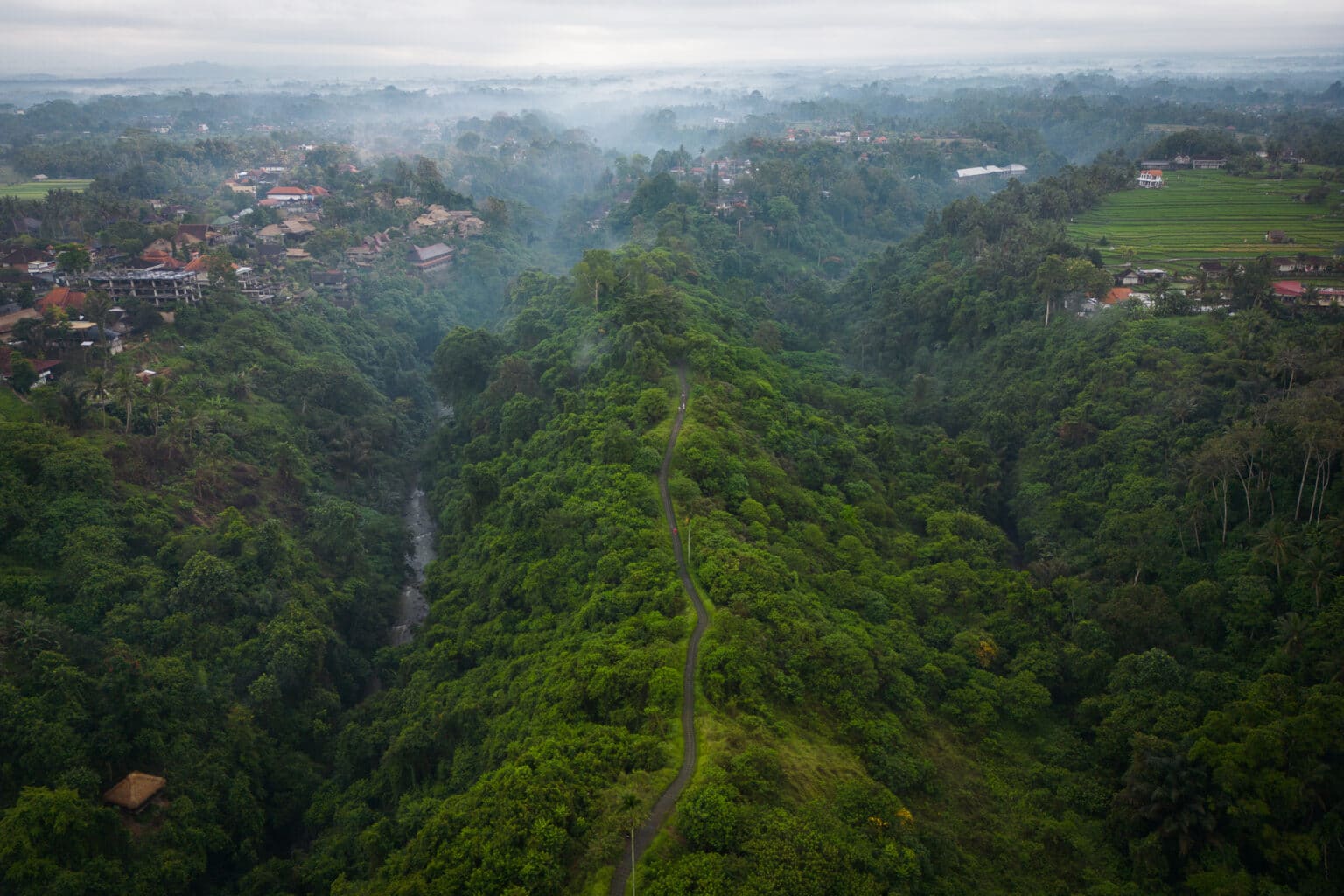 Campuhan Ridge Walk 2025: Ultimate Guide to Ubud’s Best Hike