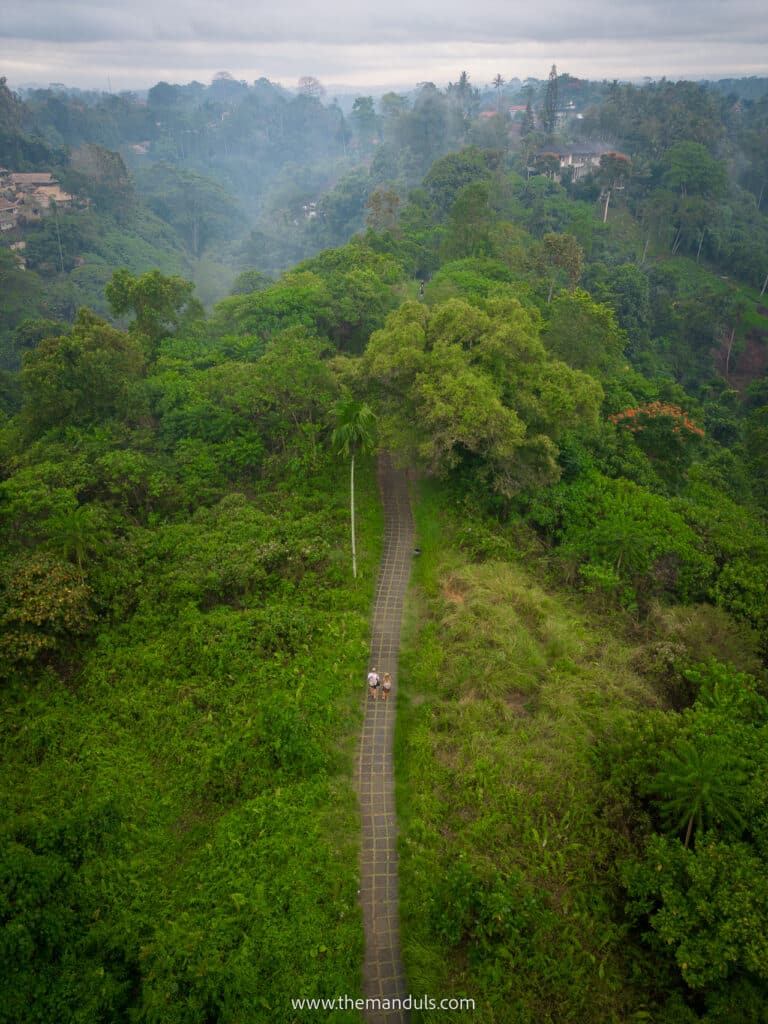 Campuhan Ridge Walk 2026: Ultimate Guide to Ubud’s Best Hike