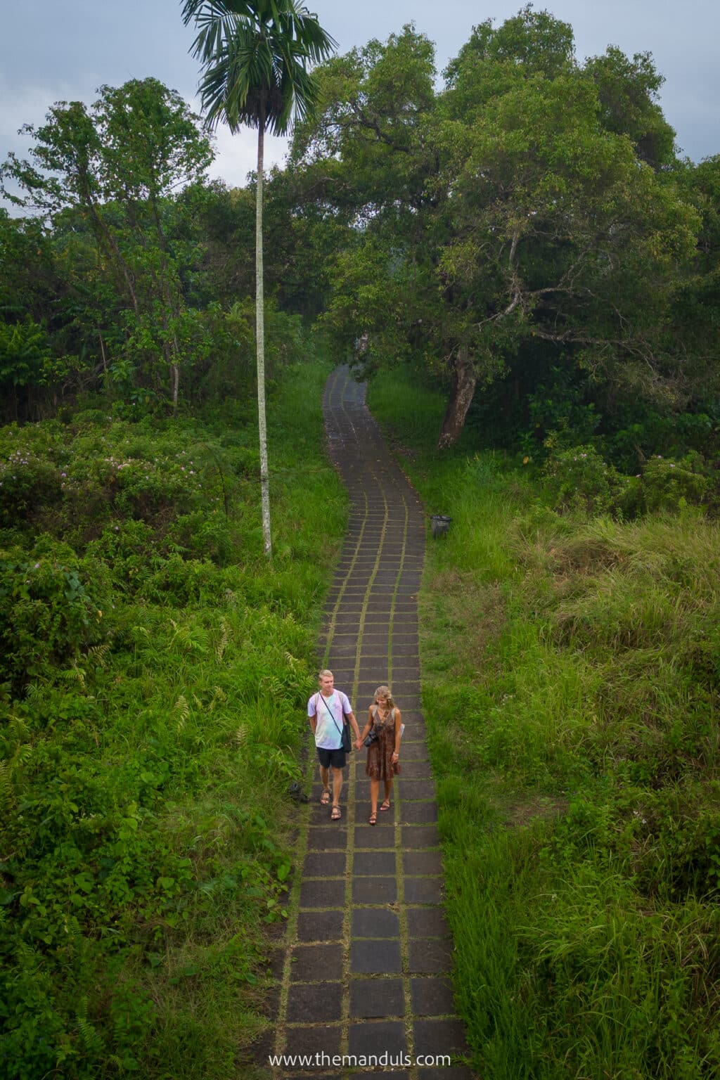 Campuhan Ridge Walk 2025: Ultimate Guide to Ubud’s Best Hike