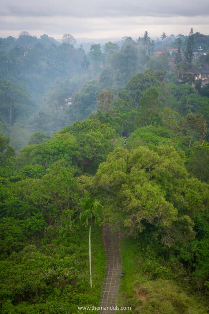 Campuhan Ridge Walk 2025: Ultimate Guide to Ubud’s Best Hike
