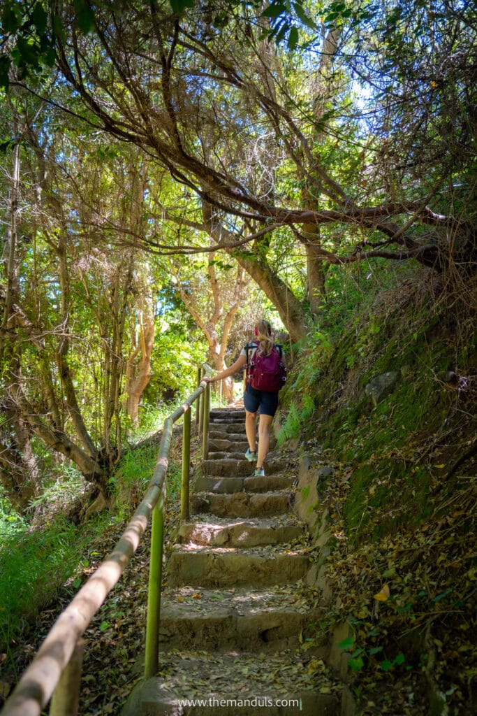 Levada do Moinho & Levada Nova - How To Hike PR7