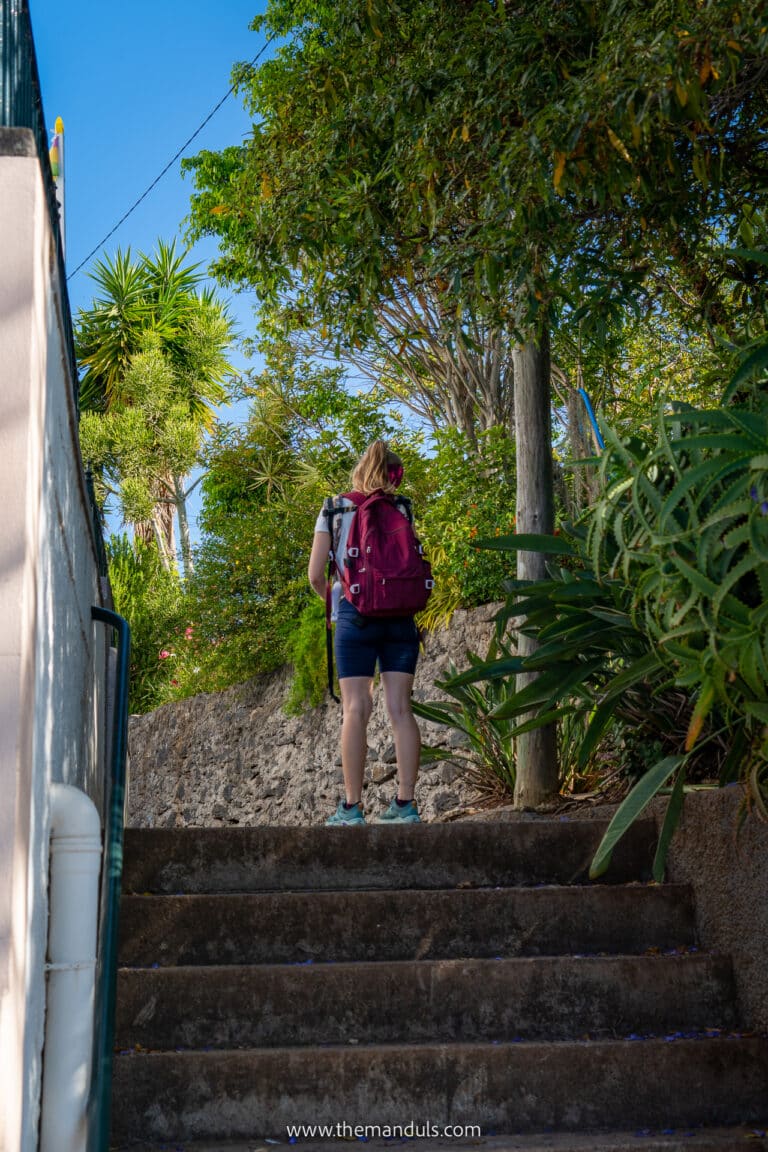 Levada do Moinho & Levada Nova - How To Hike PR7