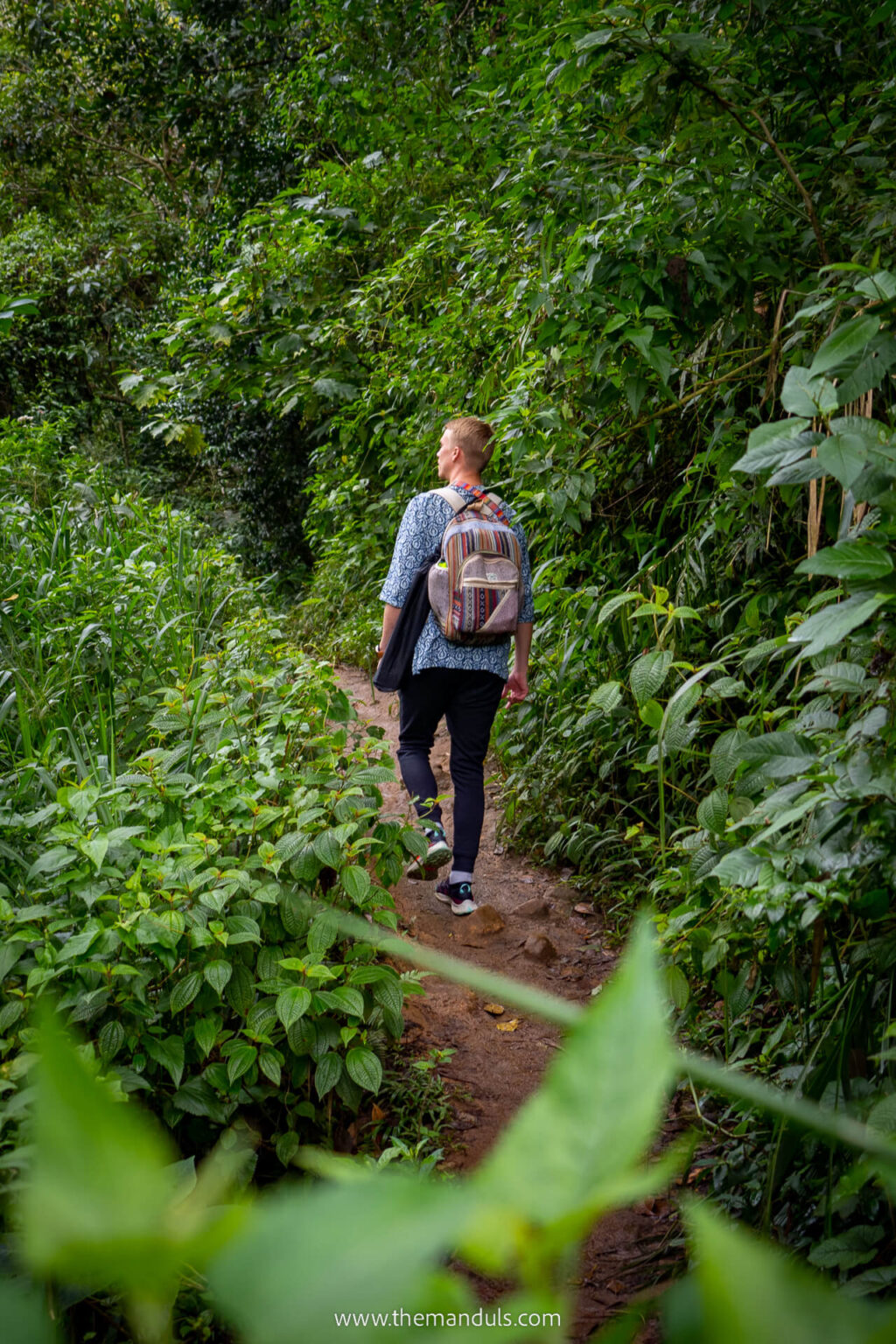 Nine Arch Bridge in Ella - How to visit in 2025