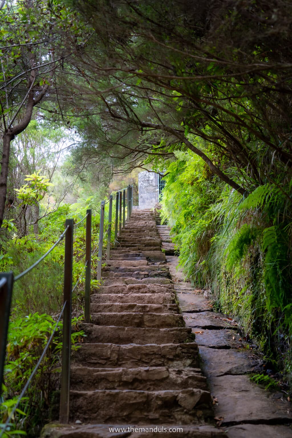 Levada das 25 Fontes: A Guide to Madeira’s PR6 Hike