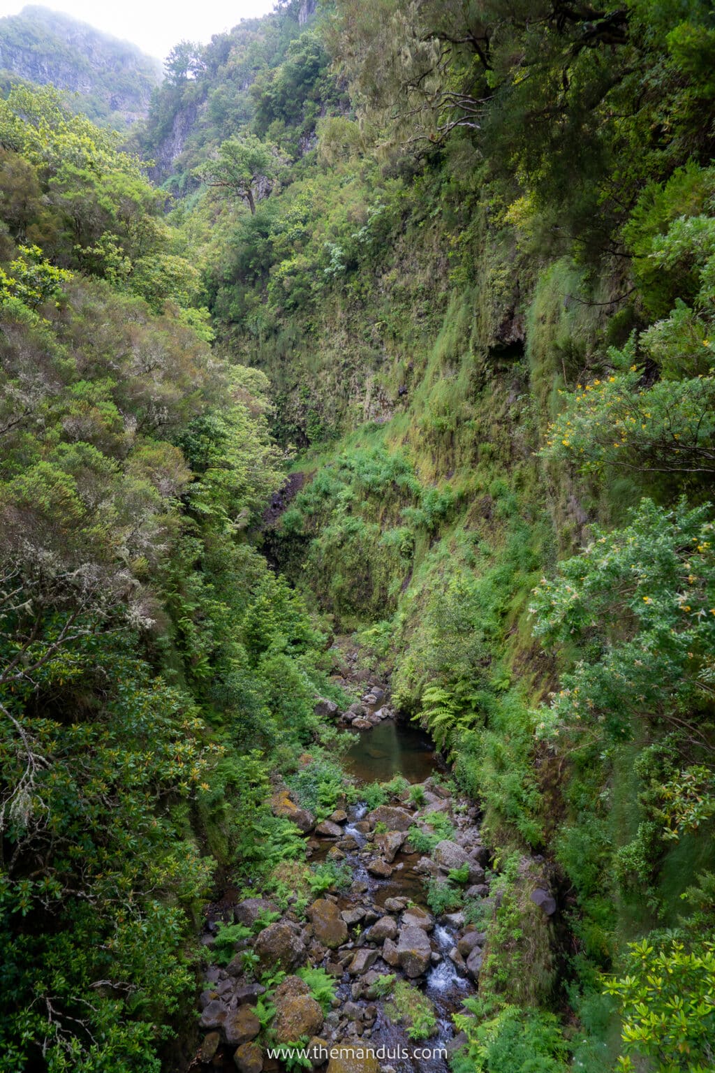 Levada das 25 Fontes: A Guide to Madeira’s PR6 Hike