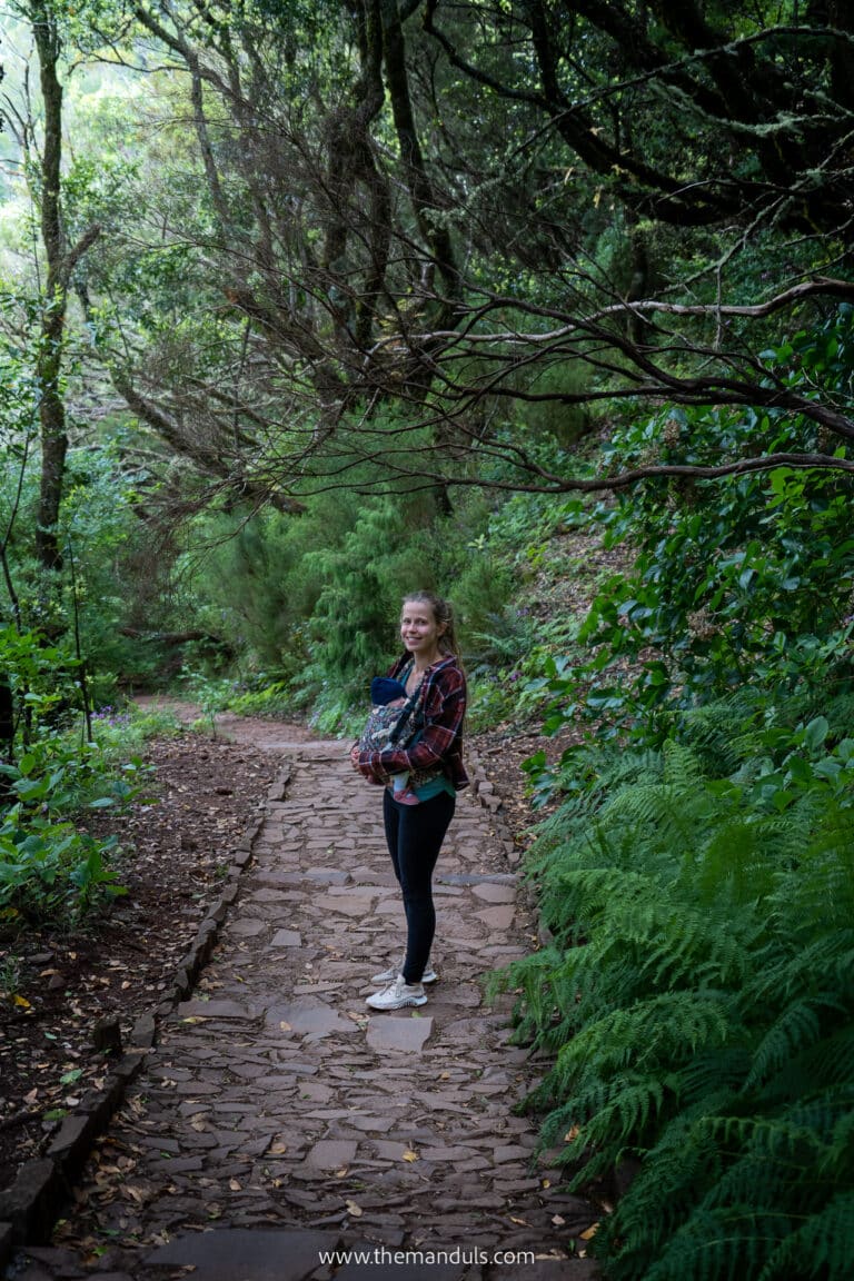 Levada das 25 Fontes: A Guide to Madeira’s PR6 Hike