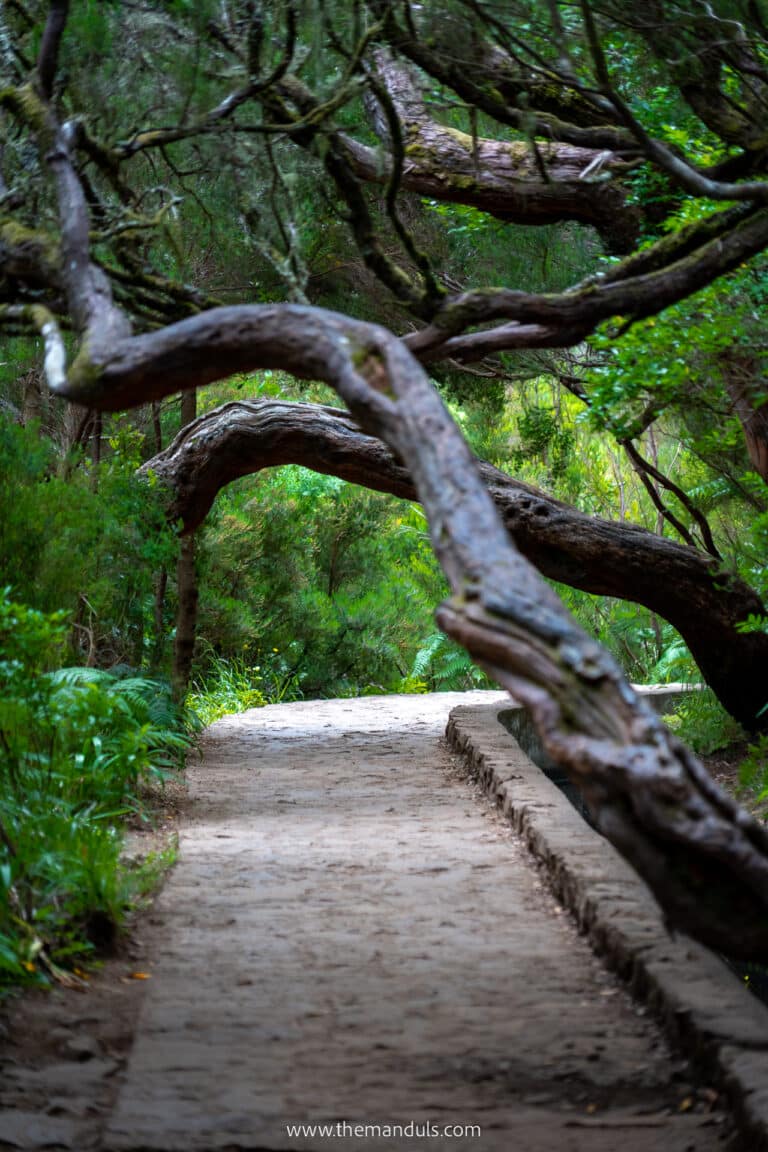 Levada das 25 Fontes: A Guide to Madeira’s PR6 Hike