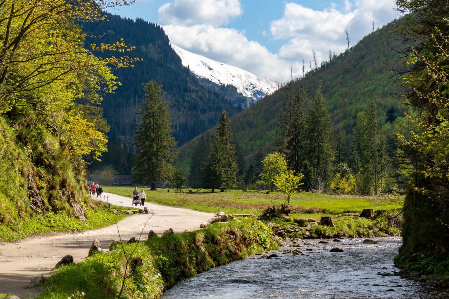 Dolina Kościeliska Complete Guide: Trail, Caves, Parking & Tips
