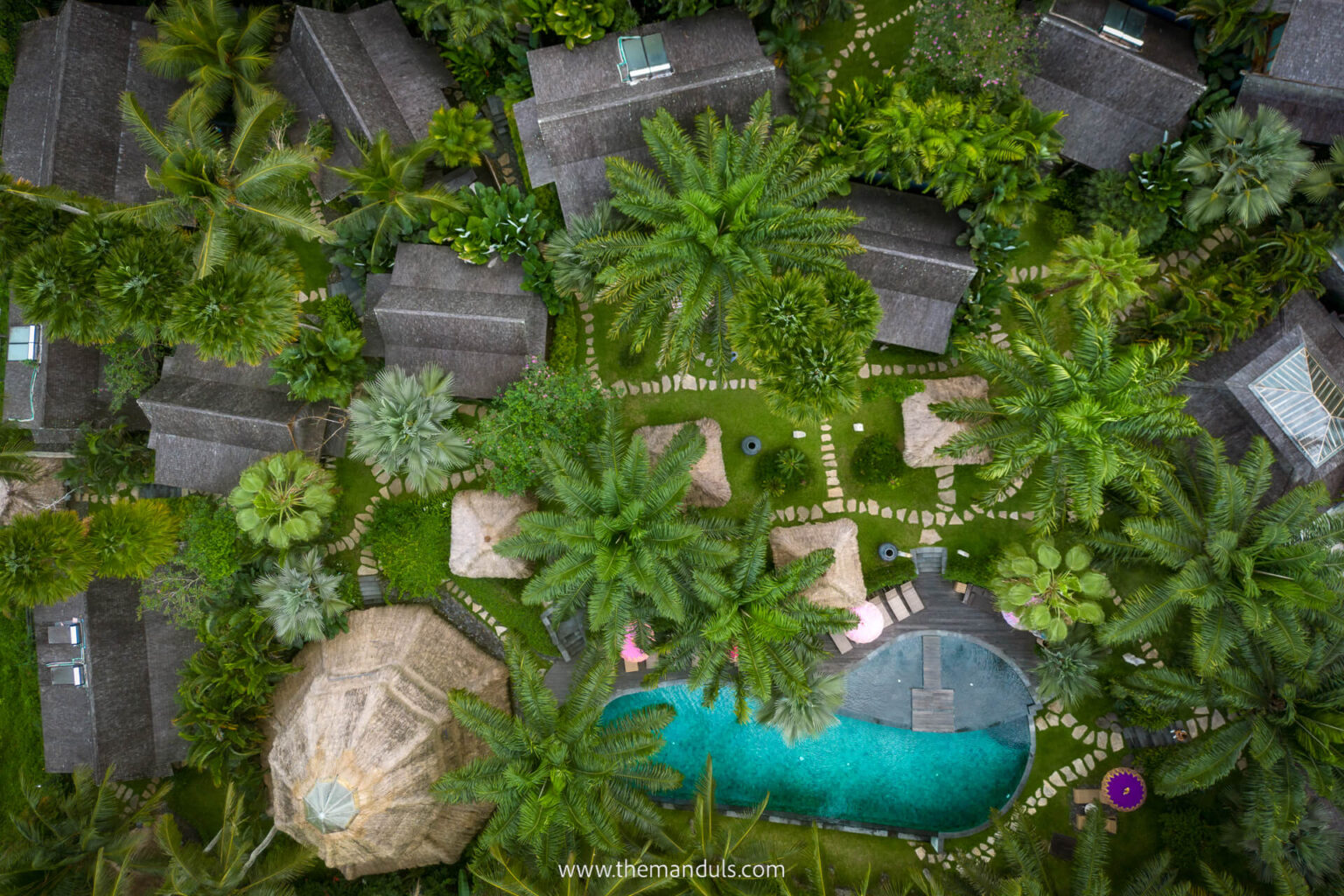 Campuhan Ridge Walk 2025: Ultimate Guide to Ubud’s Best Hike